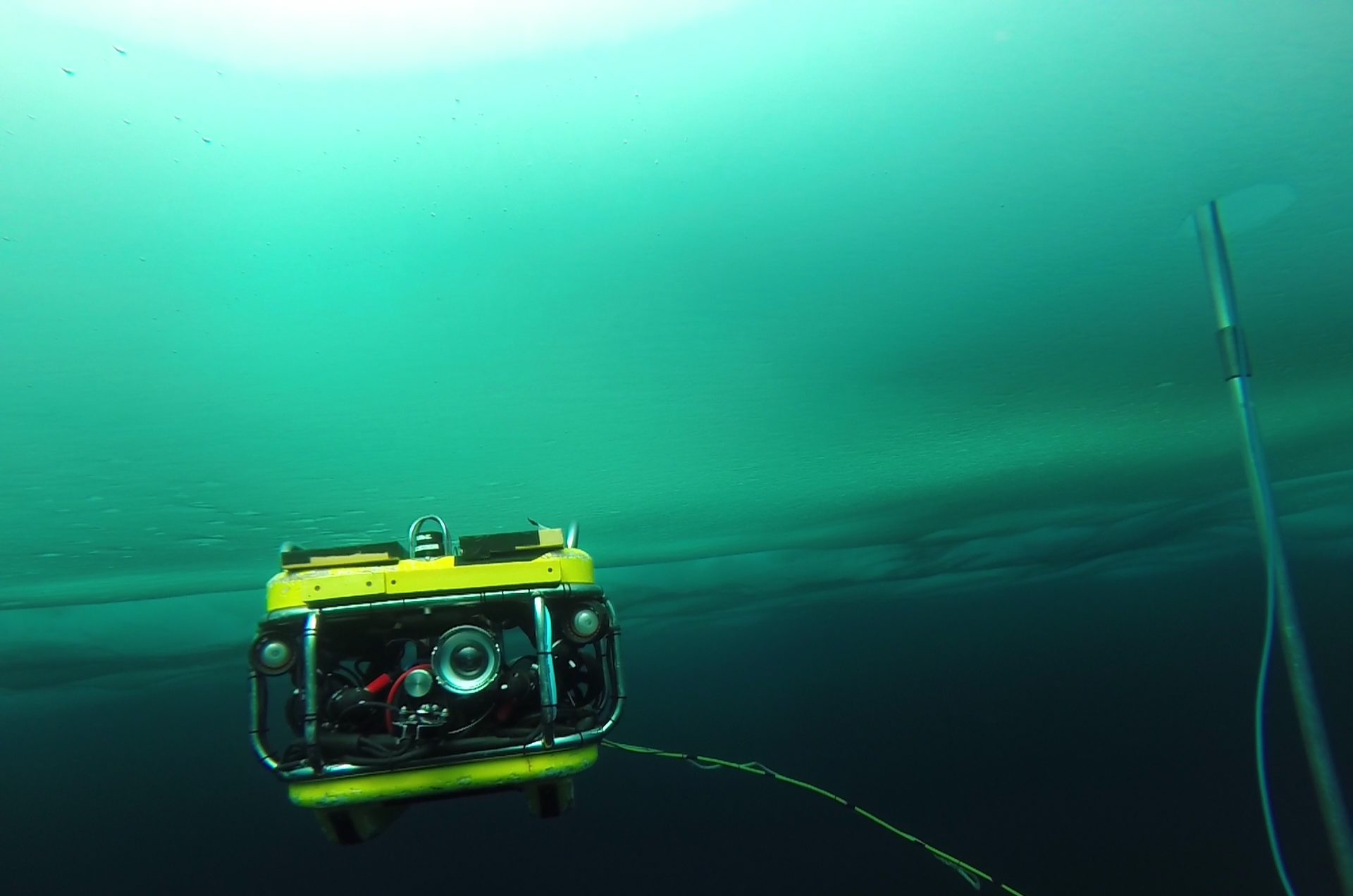 Beast of the Central Arctic - MOSAiC Expedition